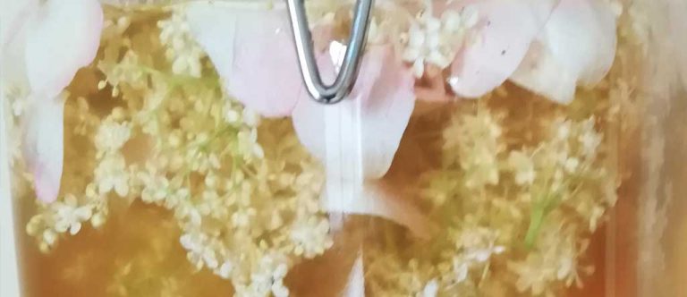 Cold Herbal Infusions - Herbal Medicine, Nutrition & Iridology