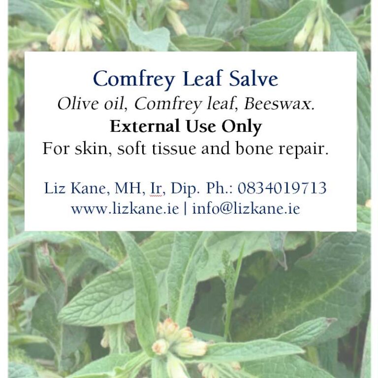 Comfrey Leaf Salve - Herbal Medicine, Nutrition & Iridology